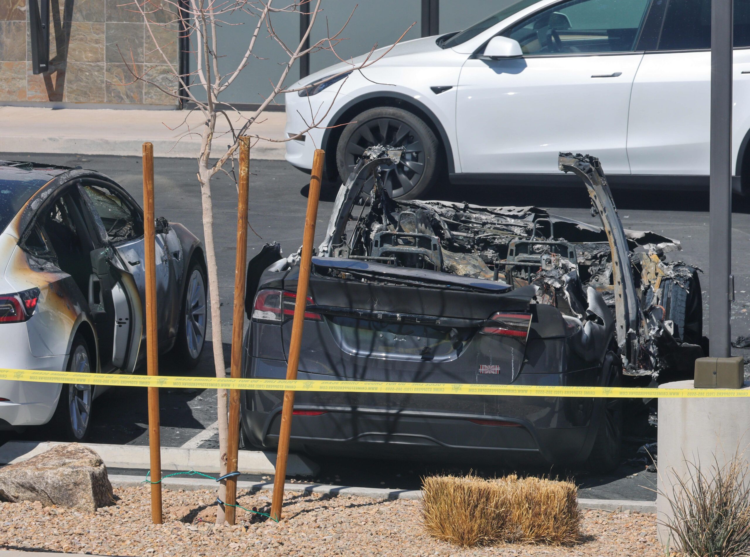 Fact Check Analysis: FBI launches Tesla threats task force: 'This is ...